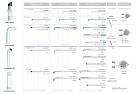 EXCOR® Pediatric – Vitalmex