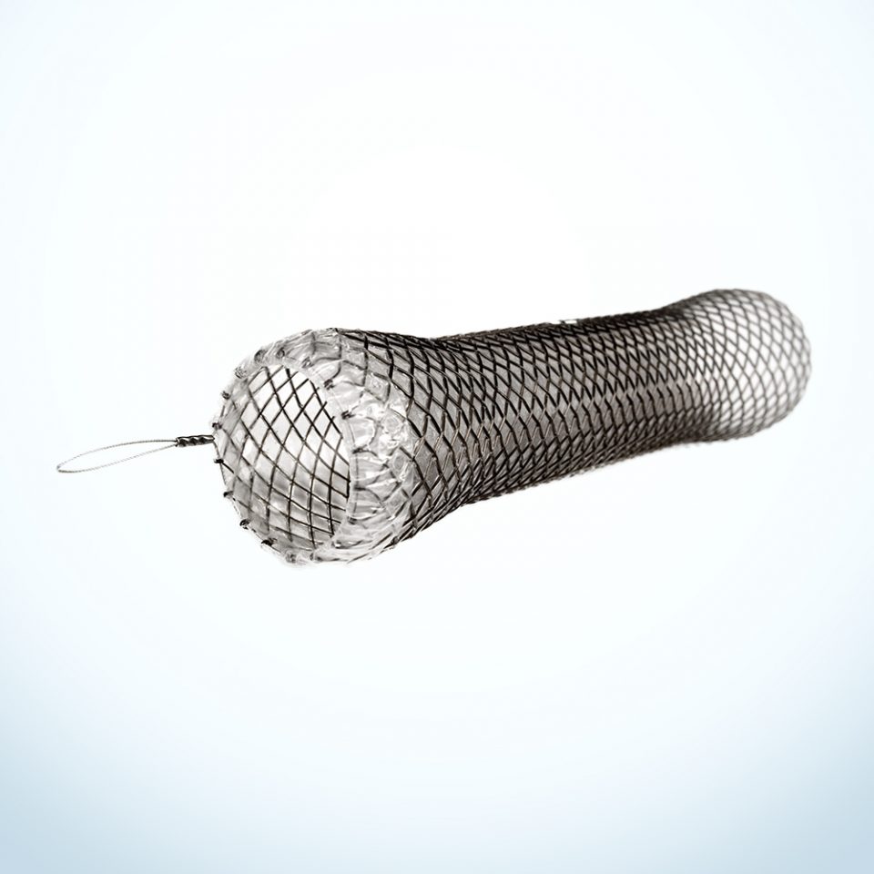 Prótesis BD Biodegradable – Vitalmex